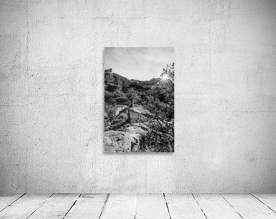 Capitol Reef Cedar Sunrays Sunrise Vertical Grayscale by Jennifer White ...
