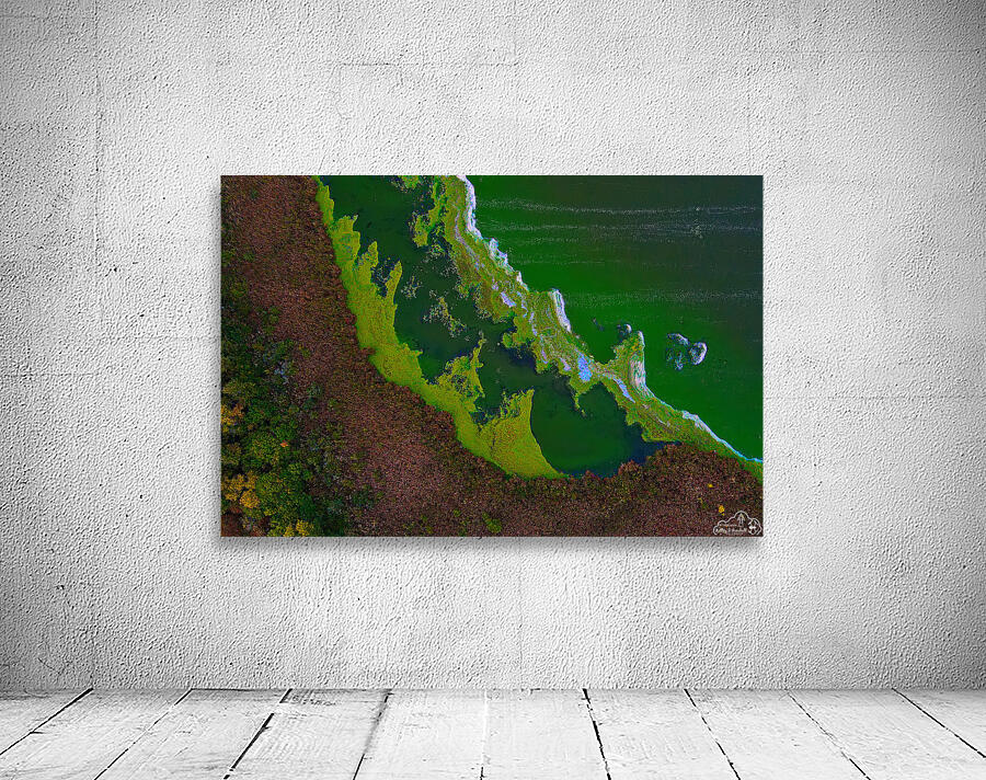 Top Down - Peltier Lake Algae Paint by UpThereAgain Photography Wall Art