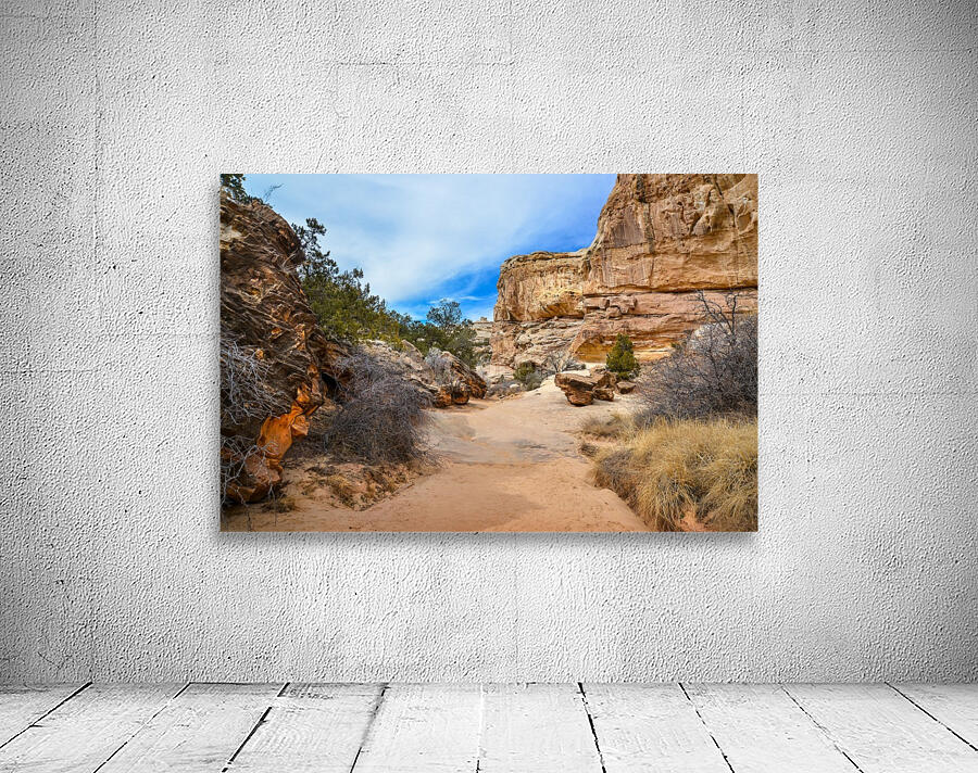 trail walk in the Capitol reef National Park Utah USA by Francois ...