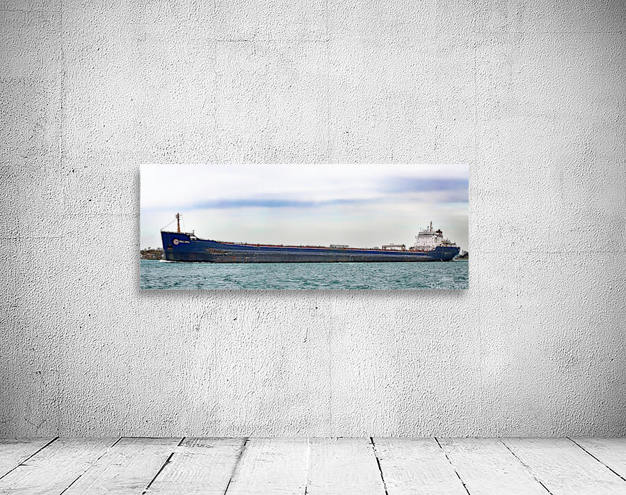 Tim S. Dool Panorama 042520 by Mary Bedy Wall Art