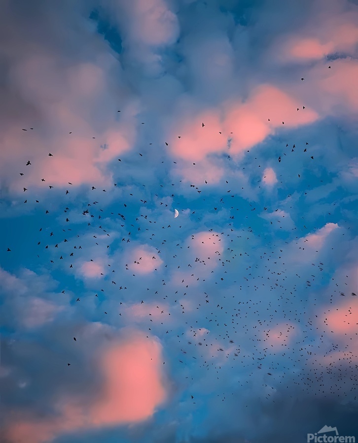 A natural view of the sky and clouds by Dr master Wall Art