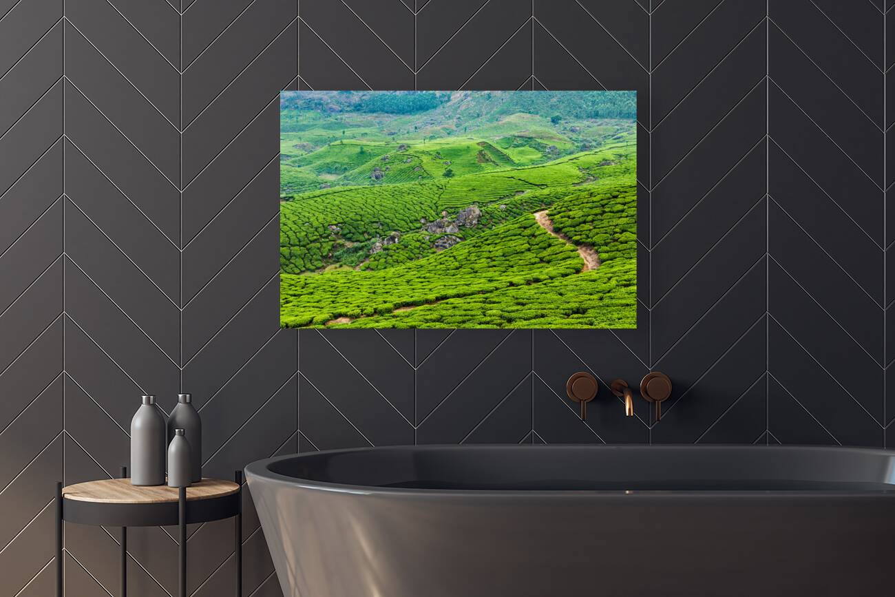 Green tea plantations in Munnar Kerala India by Dmitry Rukhlenko Wall Art
