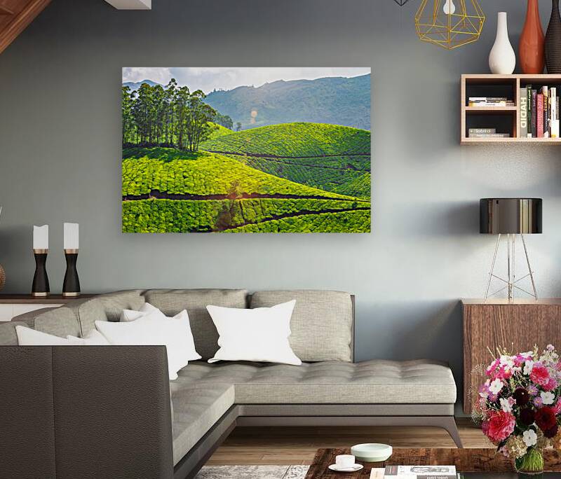 Tea plantations in Munnar Kerala India. by Dmitry Rukhlenko Wall Art