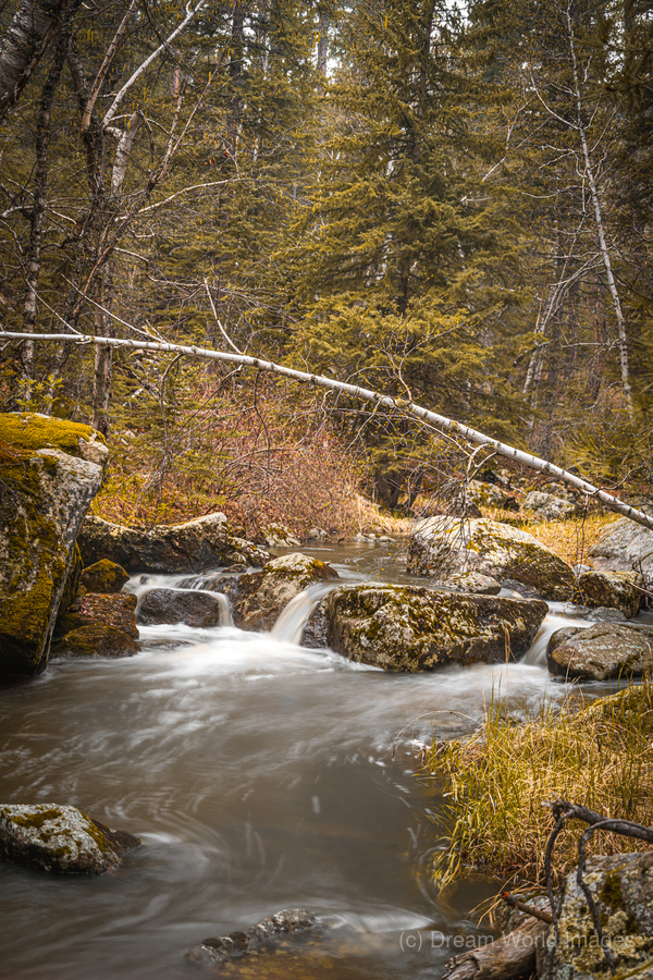 Enchanting Cascades: Coolidge Cascade by Dream World Images Wall Art