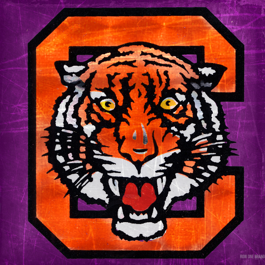 clemson logo tiger