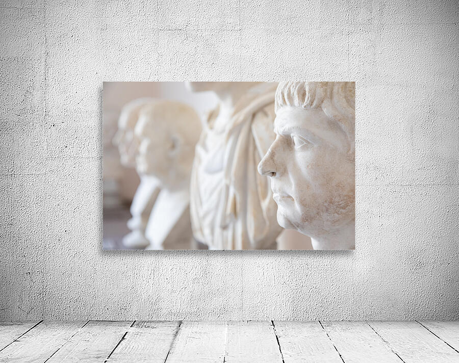 Roman Portrait Busts in the Farnese Collection at Naples Archaeo by ...