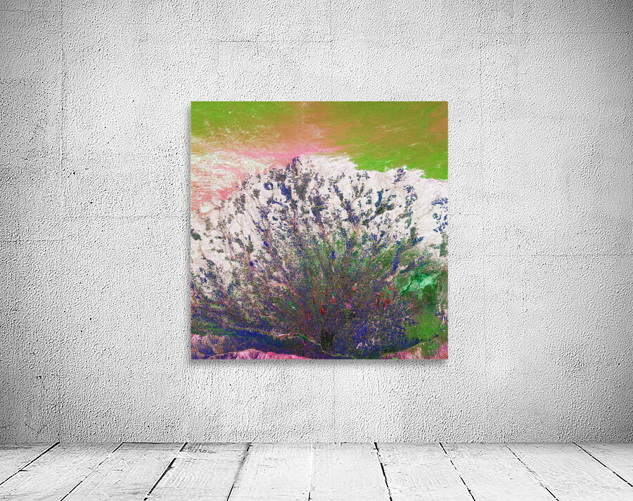 QEAA 013 – Earth As Art USGS by Masterwork Reimagined Wall Art